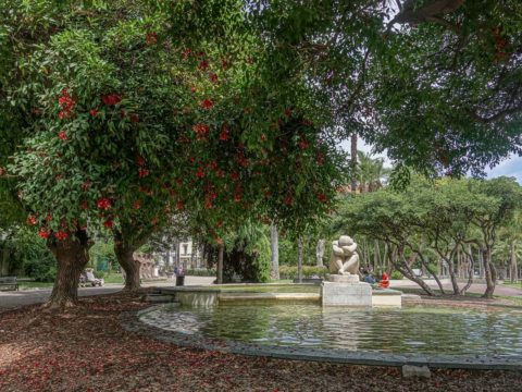 The most beautiful hikes on the coast of Nice French Riviera