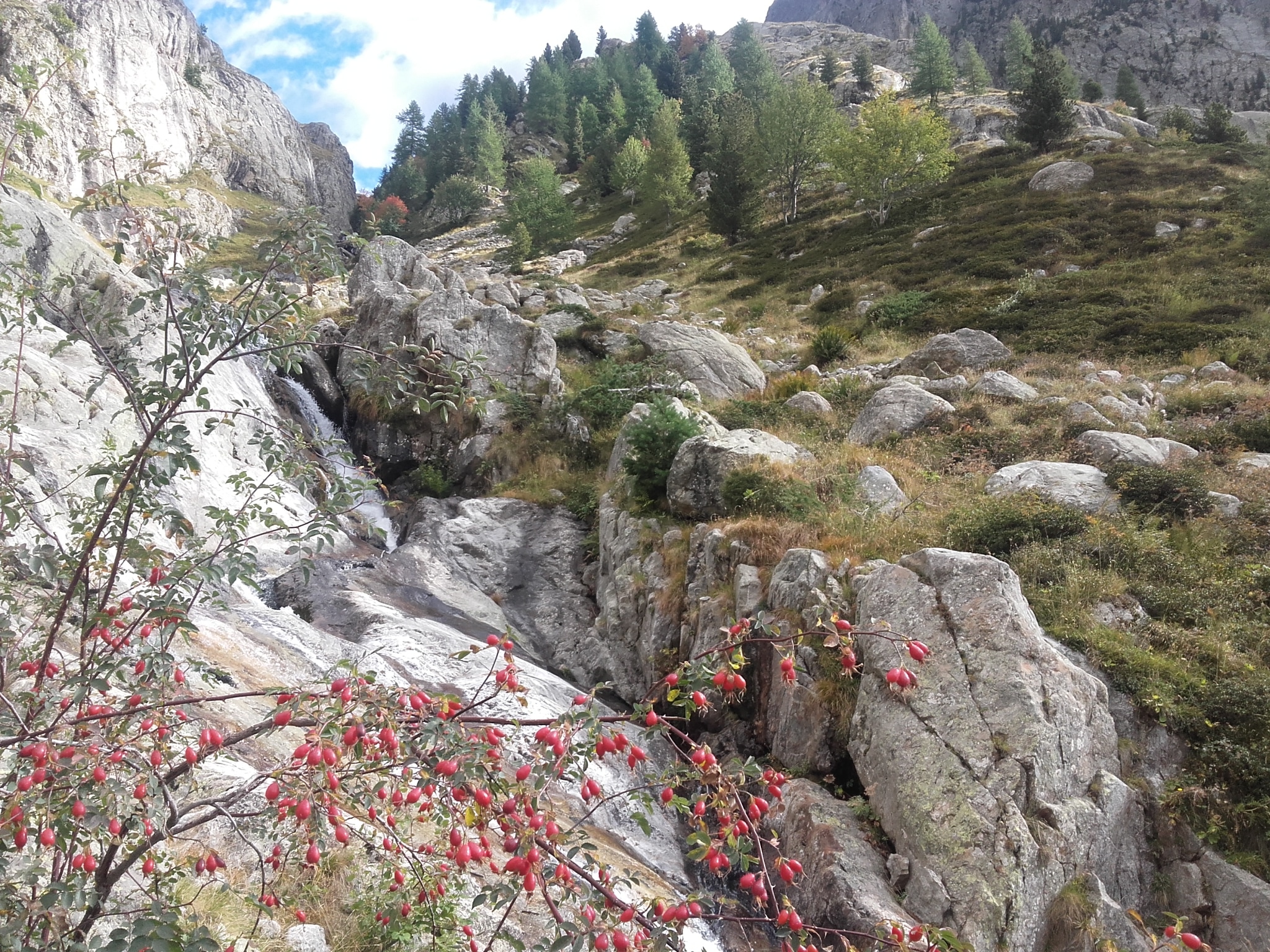 On a testé pour vous la Balade "Sur les traces de Belle & Sébastien ...