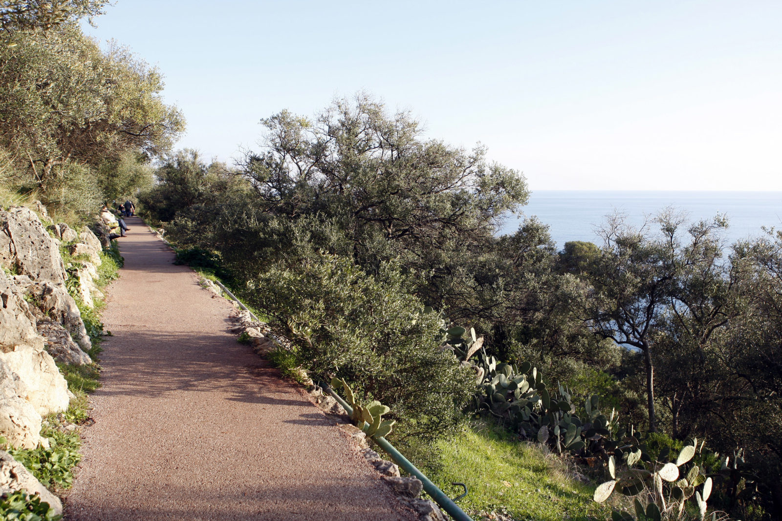 The most beautiful hikes on the coast of Nice French Riviera | Nice ...