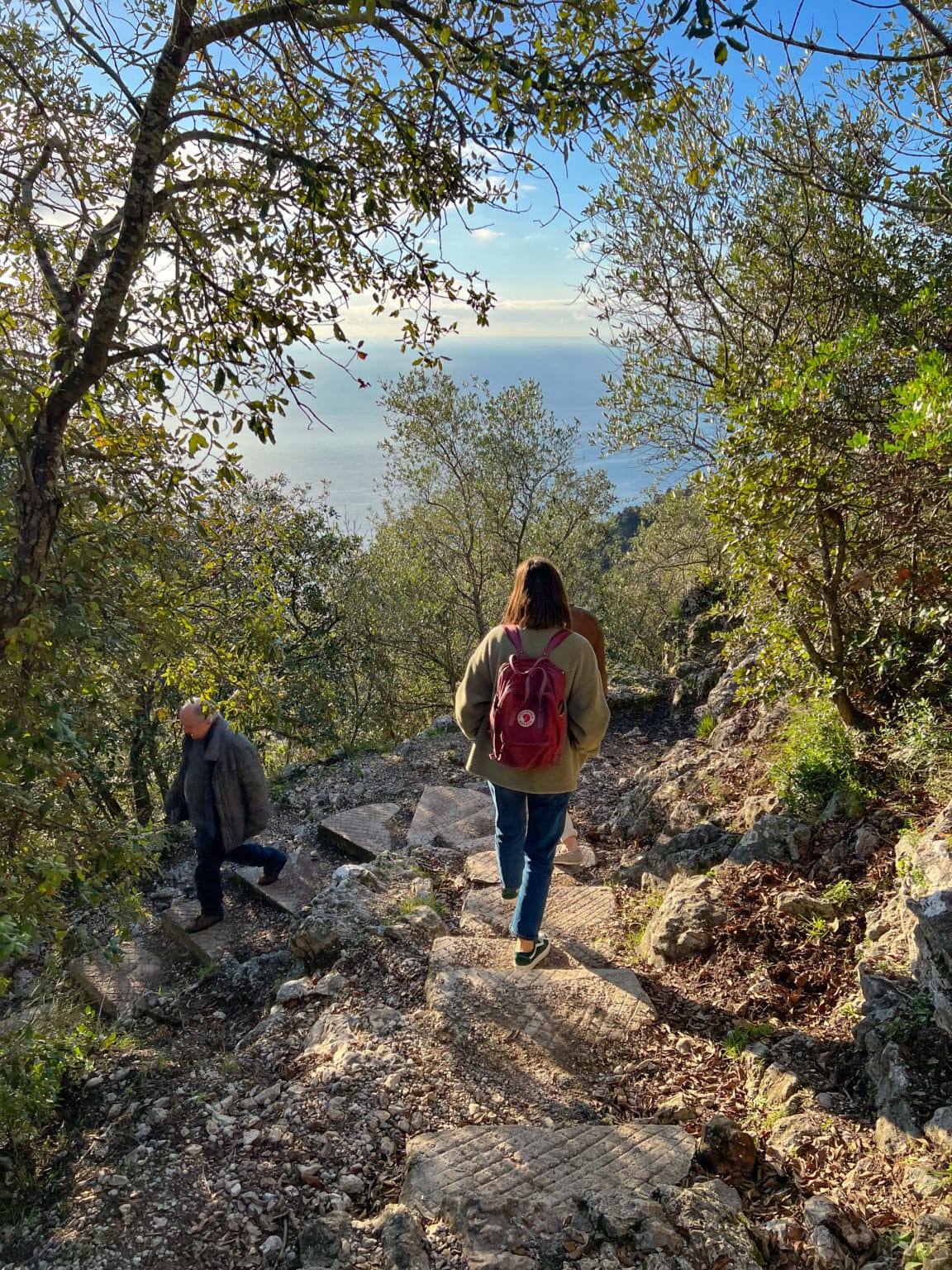 Getting to Eze | Nice Côte d'Azur CVB